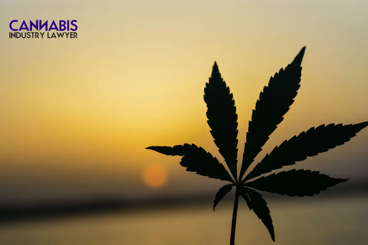 Michigan Marijuana License: How to Get Prequalified - Cannabis Industry ...