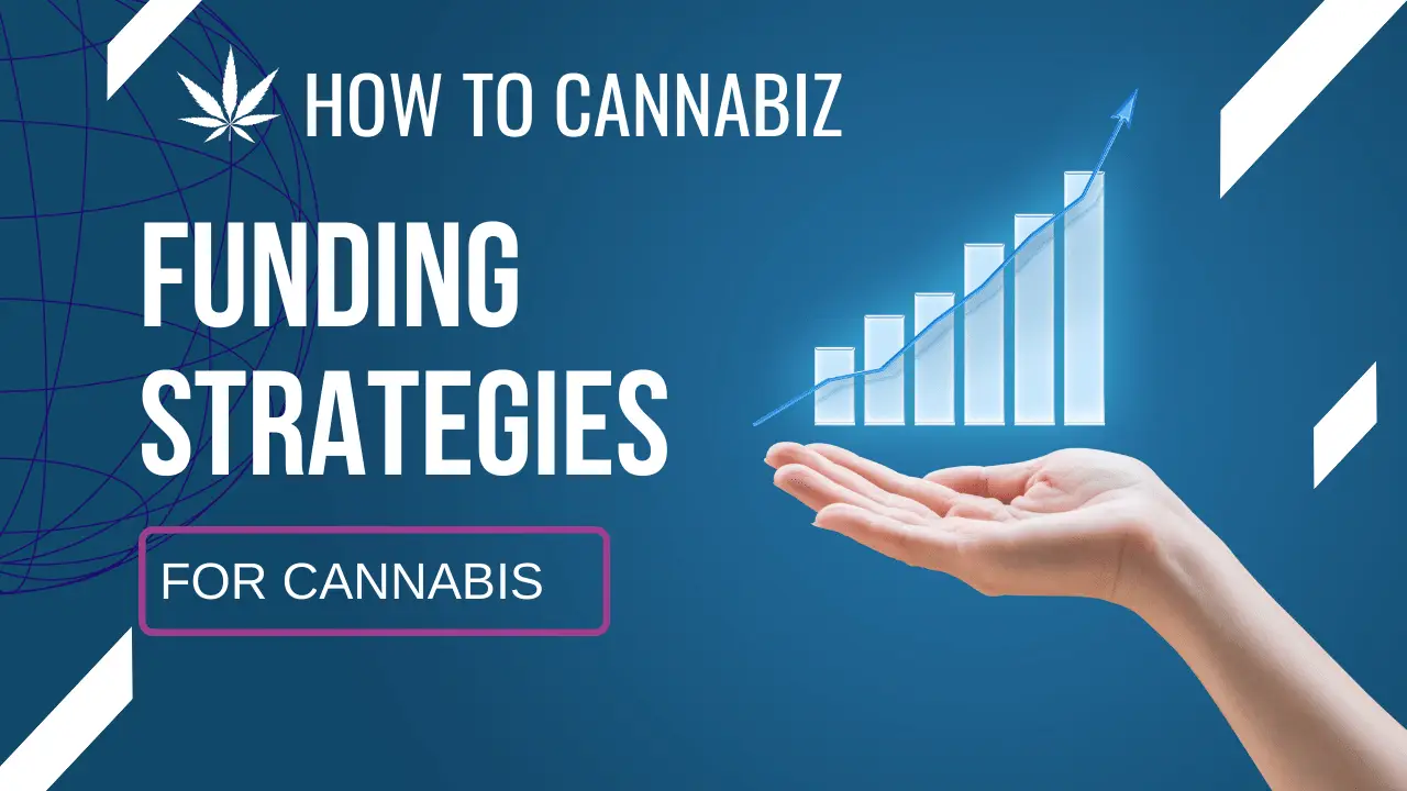 How to raise funds for your cannabis company - capital raising 101