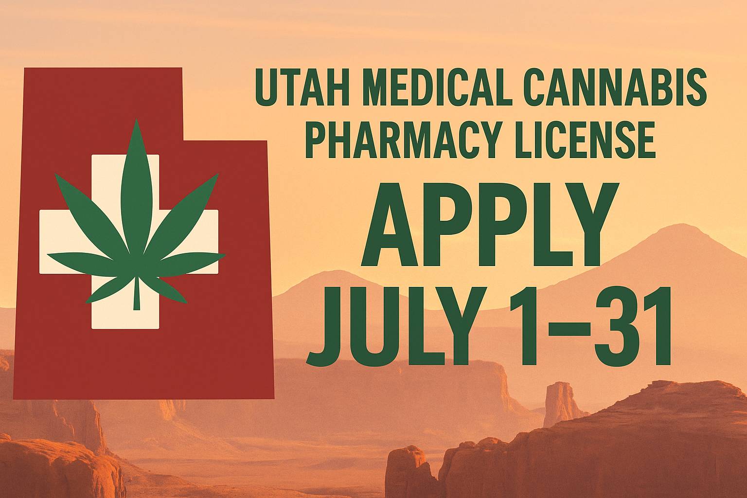 Cannabis license: what would you need in order to apply for one?